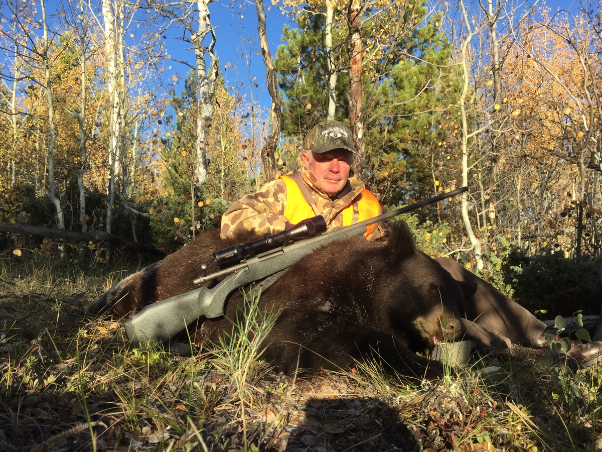 How to Get Tags in Colorado - Everything You Need to Know | Ivory ...