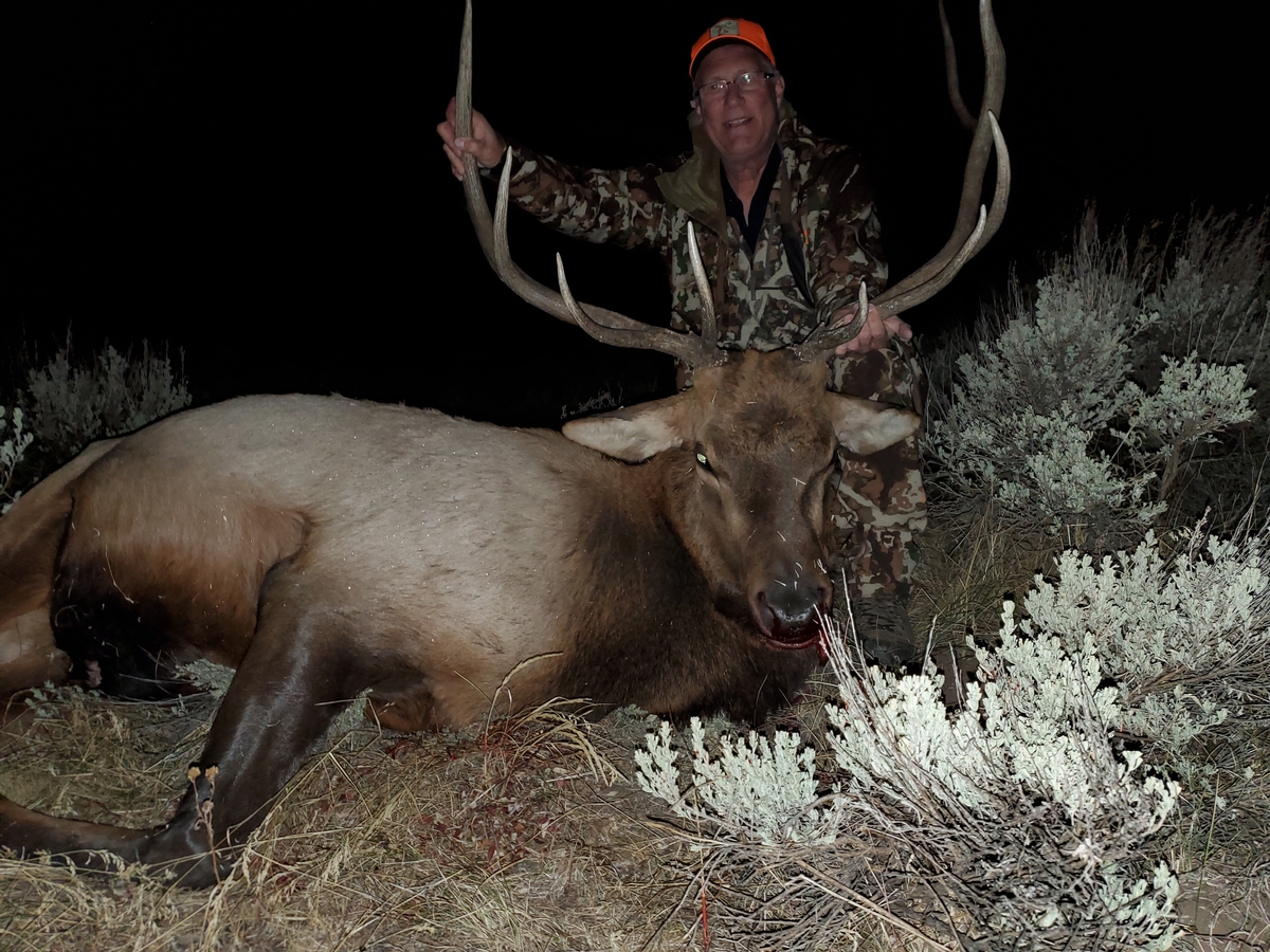 Page 4/12 - Ivory & Antler Outfitters Elk Photo Gallery