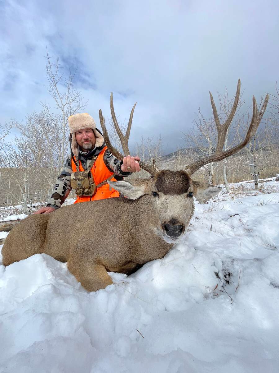 Colorado Mule Deer Hunts | Colorado Mule Deer Hunting Outfitters & Guide