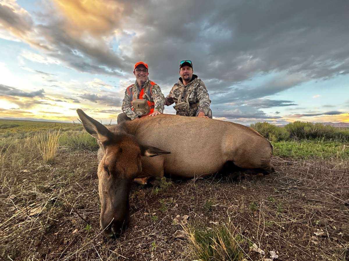 Colorado Elk Hunting Outfitters | Private Ranch Colorado Elk Hunts