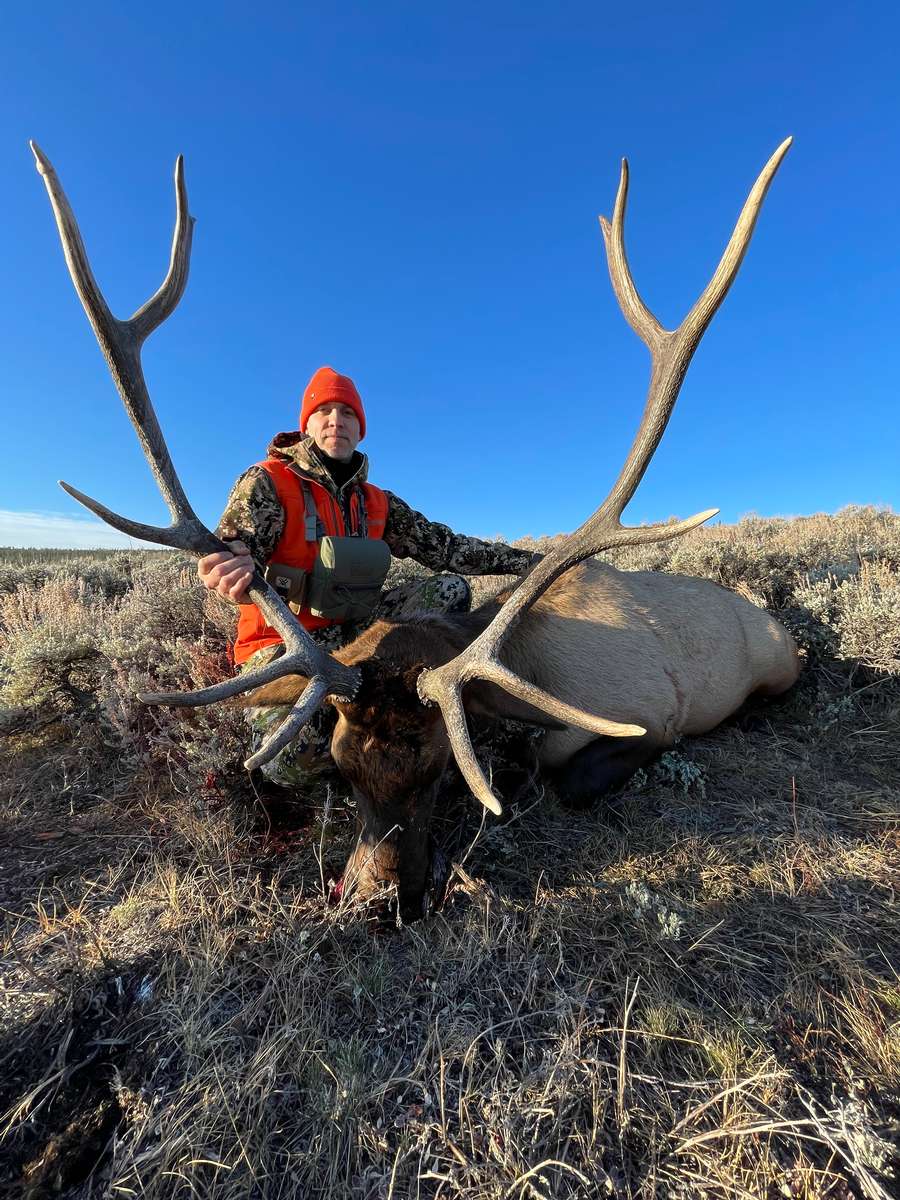Colorado Elk Hunting Outfitters | Private Ranch Colorado Elk Hunts
