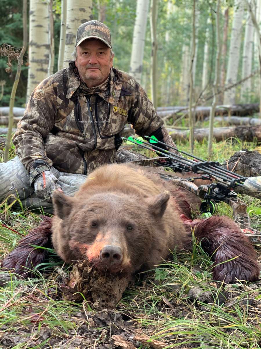 Guided Black Bear Hunts in Colorado | Bear Hunting Outfitters Colorado