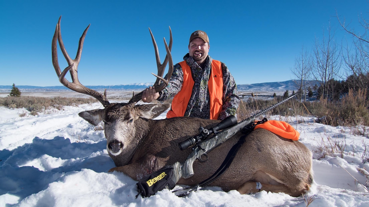 Colorado Mule Deer Hunts | Colorado Mule Deer Hunting Outfitters & Guide