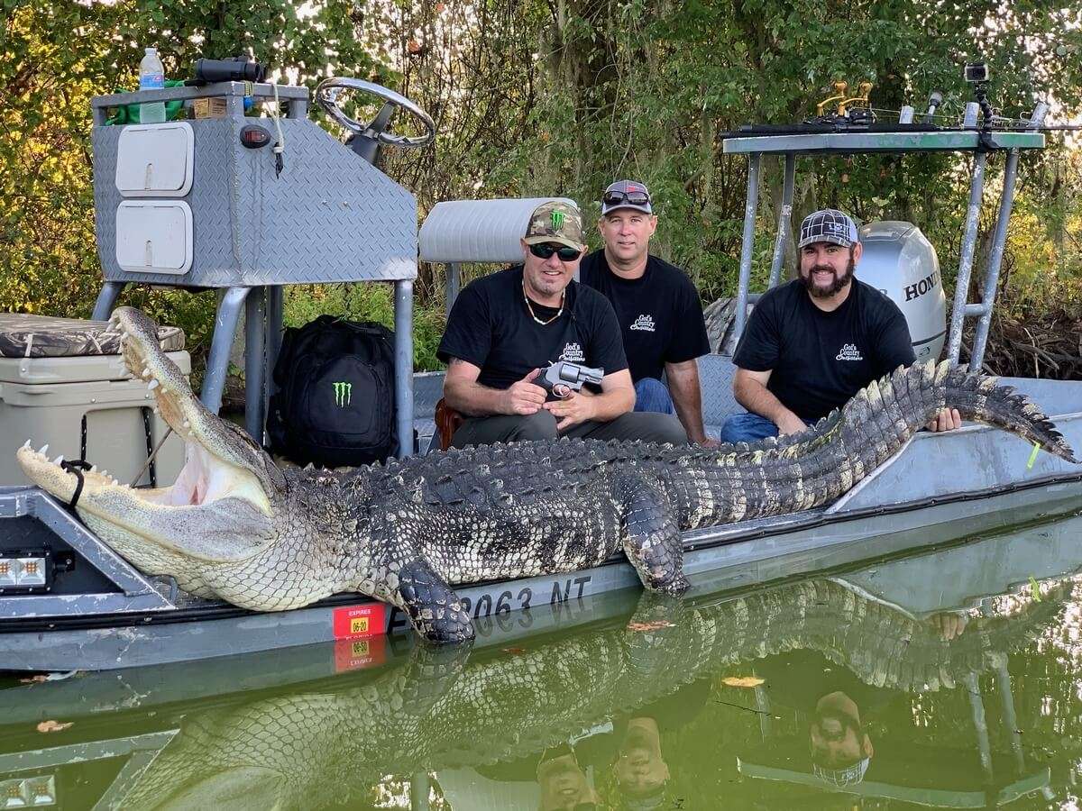 Florida Alligator Hunting - Wild Alligator Hunts